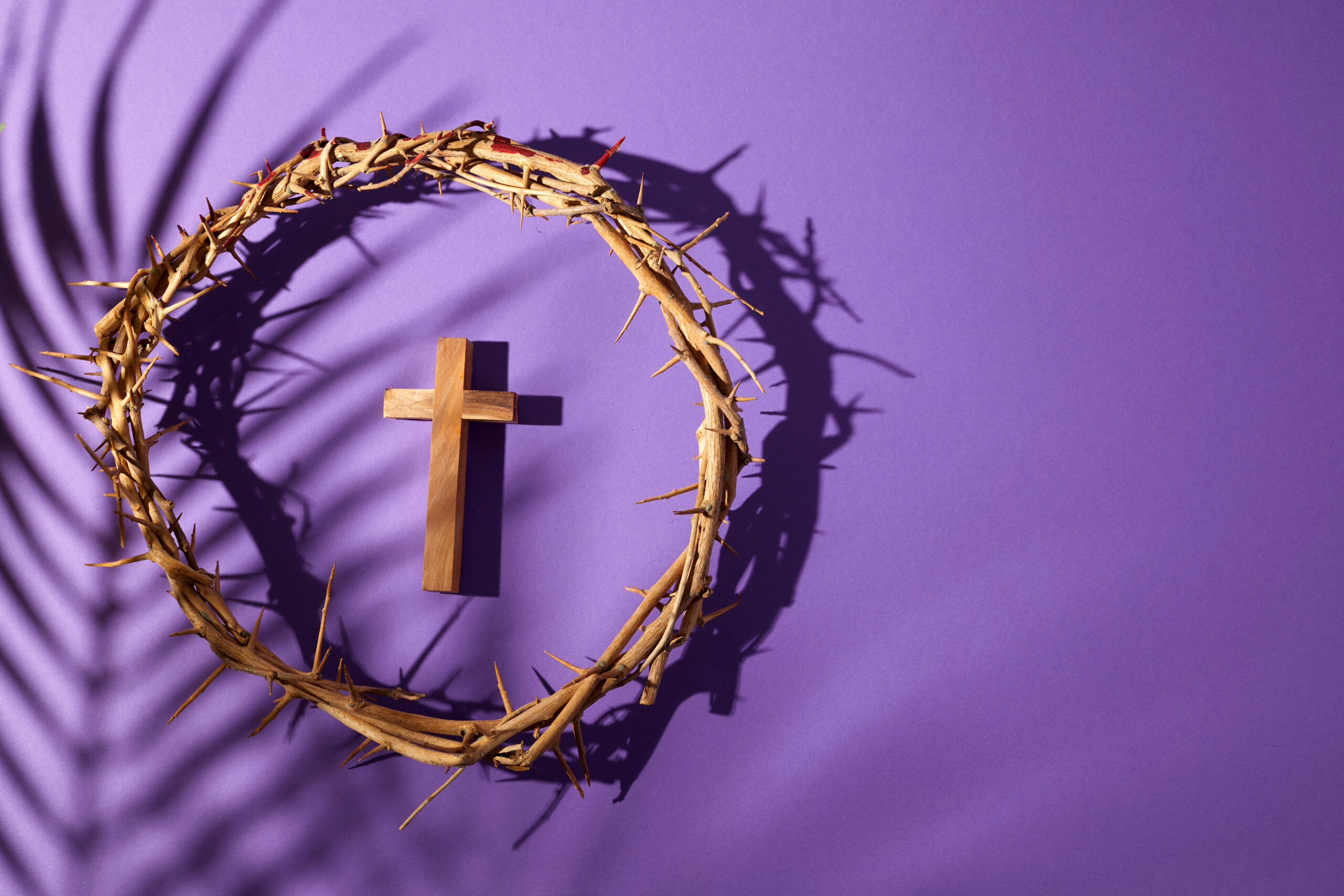 Lenten Readings - Every Square Inch Ministries